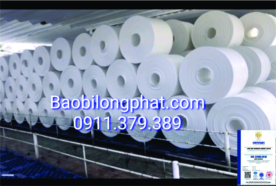 CTY TNHH BAO BÌ LONG PHÁT